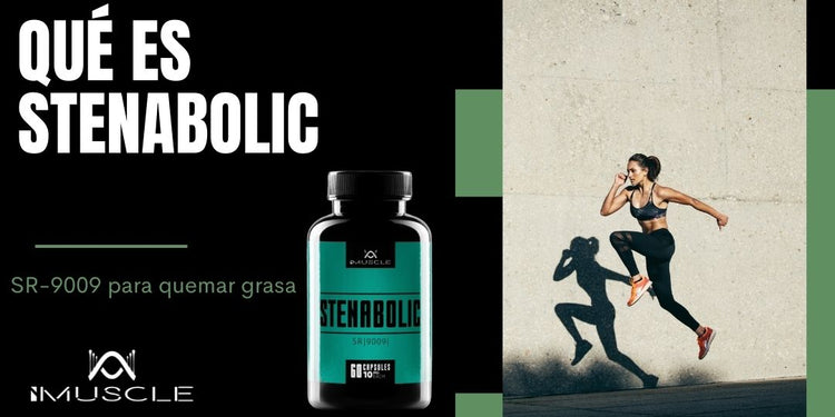 Qué es Stenabolic SR9009? – iMuscle España