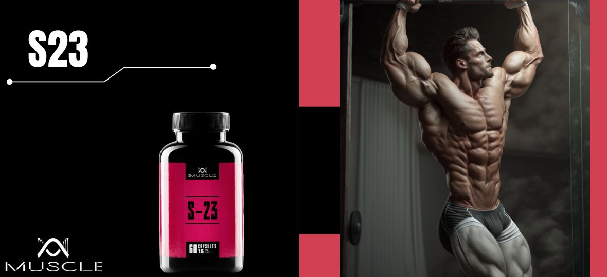 Cuál es la acción de S23 SARMs – iMuscle España